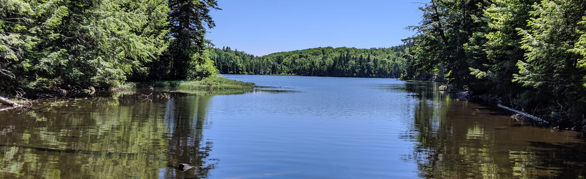 Little Rock Pond and Green Mountain Loop, Vermont - 174 Reviews, Map ...