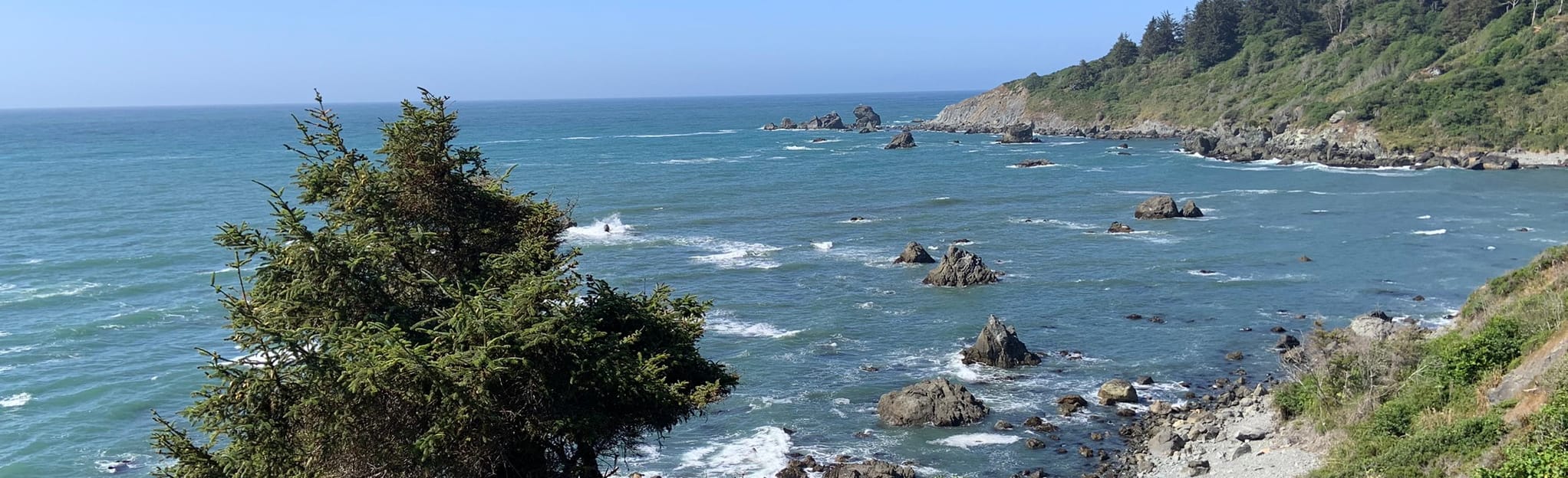 Palmer's Point Beach Trail, 90 Photos - Californie | AllTrails