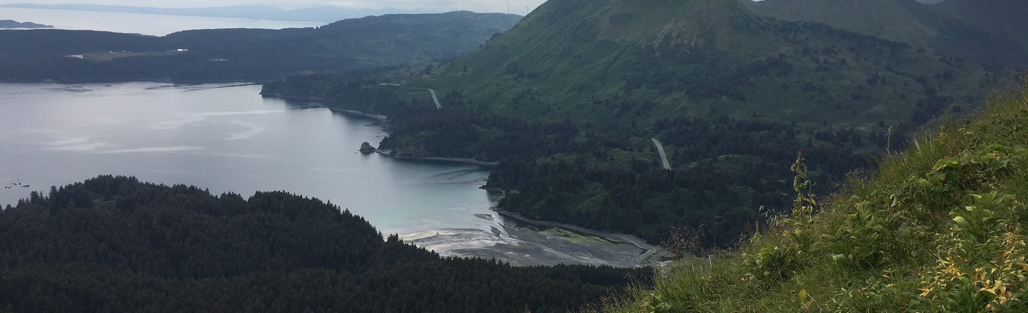 Monashka Mountain Trail: 146 Reviews, Map - Alaska | AllTrails