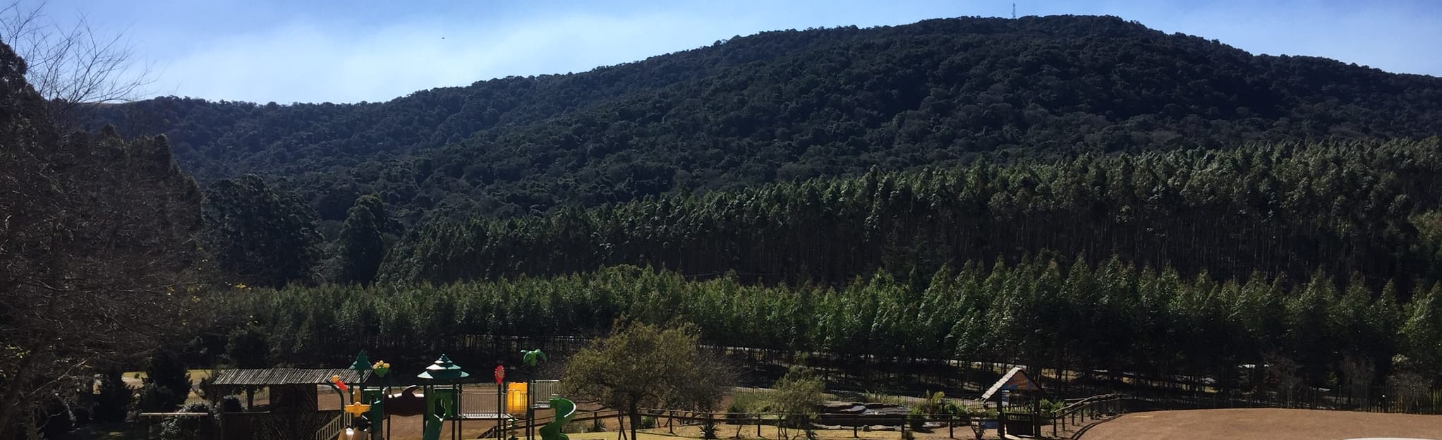 ANEW Ingeli Forest Resort Loop: 3 Reviews, Map - Kwazulu-Natal, South ...