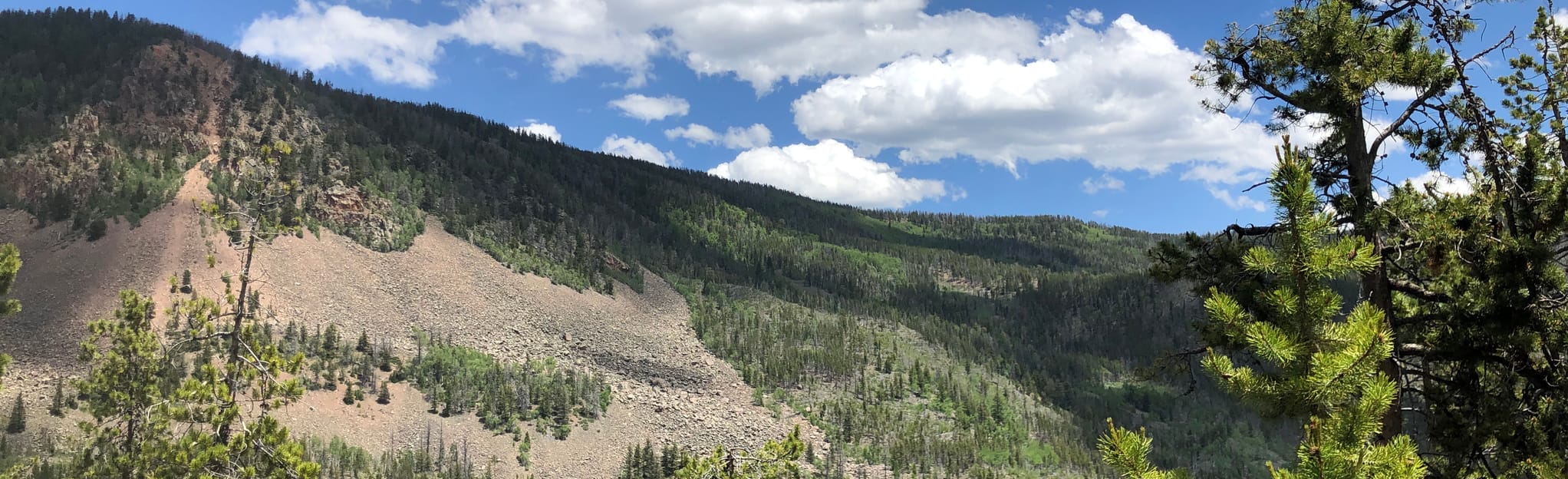 Timothy Lakes Trail, Utah - 13 Reviews, Map | AllTrails