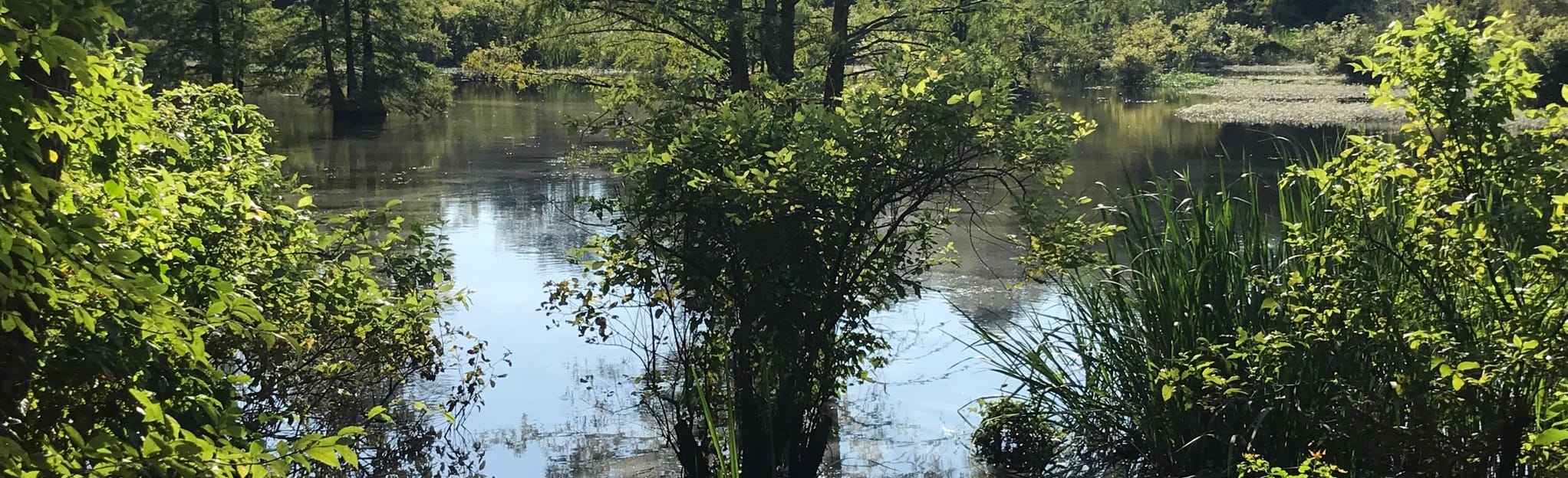 Bayou Bartholomew Trail, Arkansas - 13 Reviews, Map | AllTrails