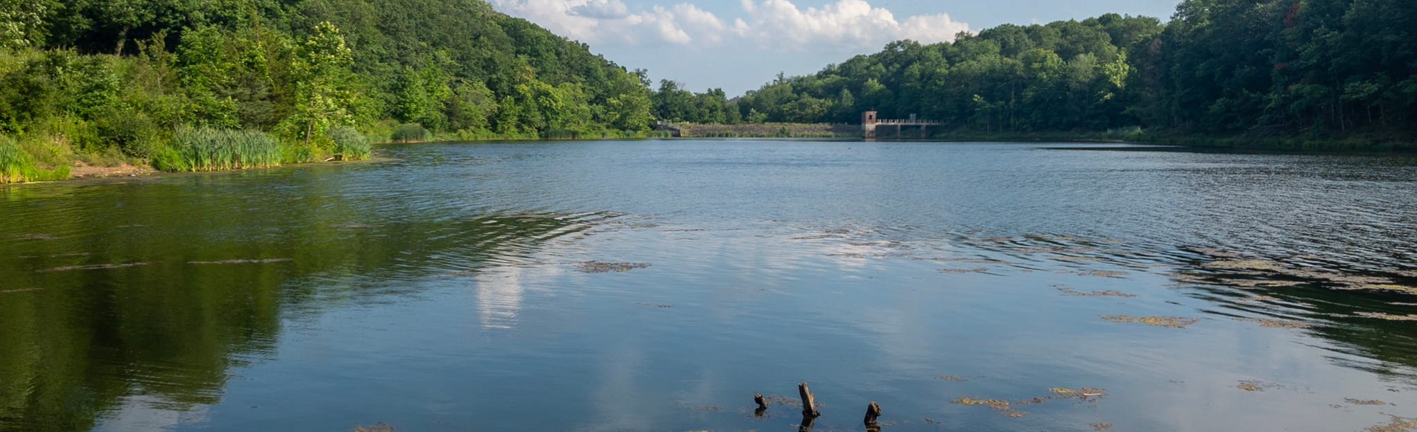 Washington Valley Reservoir Loop via Red, White and Fire Trail: 583 ...
