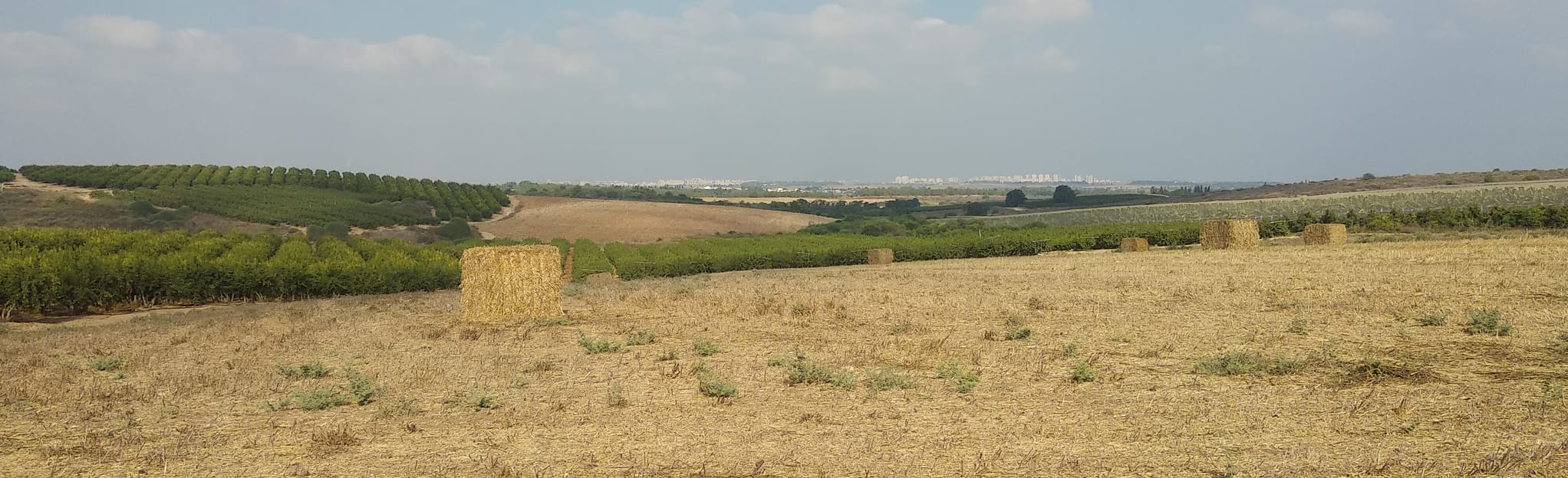 Negba and and Kohav Michael Circuit, Southern District HaDarom, Israel ...