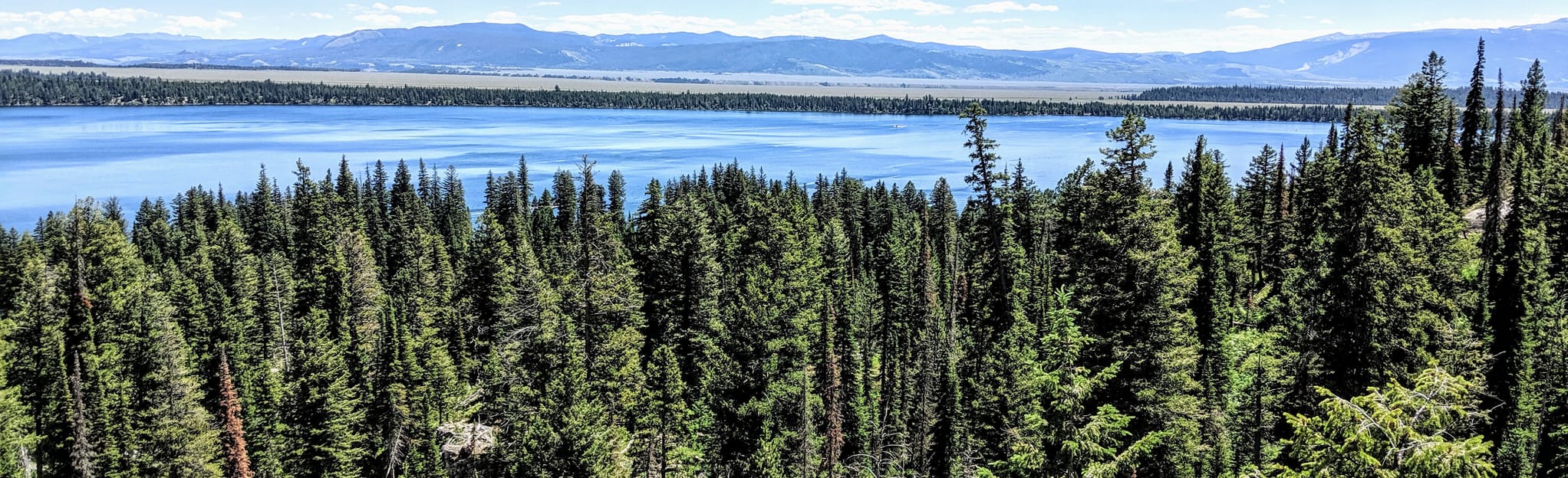 Inspiration Point to Canyon Trail Loop, Wyoming - 712 Reviews, Map ...