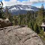 Tahoe Rim Trail (TRT) Complete Loop, California - 24 Reviews, Map ...