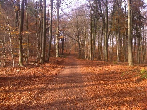 2023 Best 10 Lake Trails in Biosphärenreservat Bliesgau | AllTrails