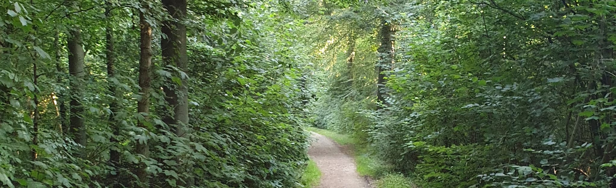 Vesterskov Yellow Route: 40 Reviews, Map - Region of Southern Denmark ...