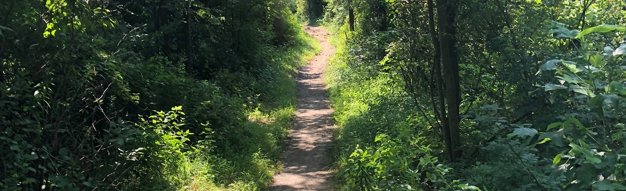Jacobsburg State Park Red/Green Loop | Map, Guide - Pennsylvania ...