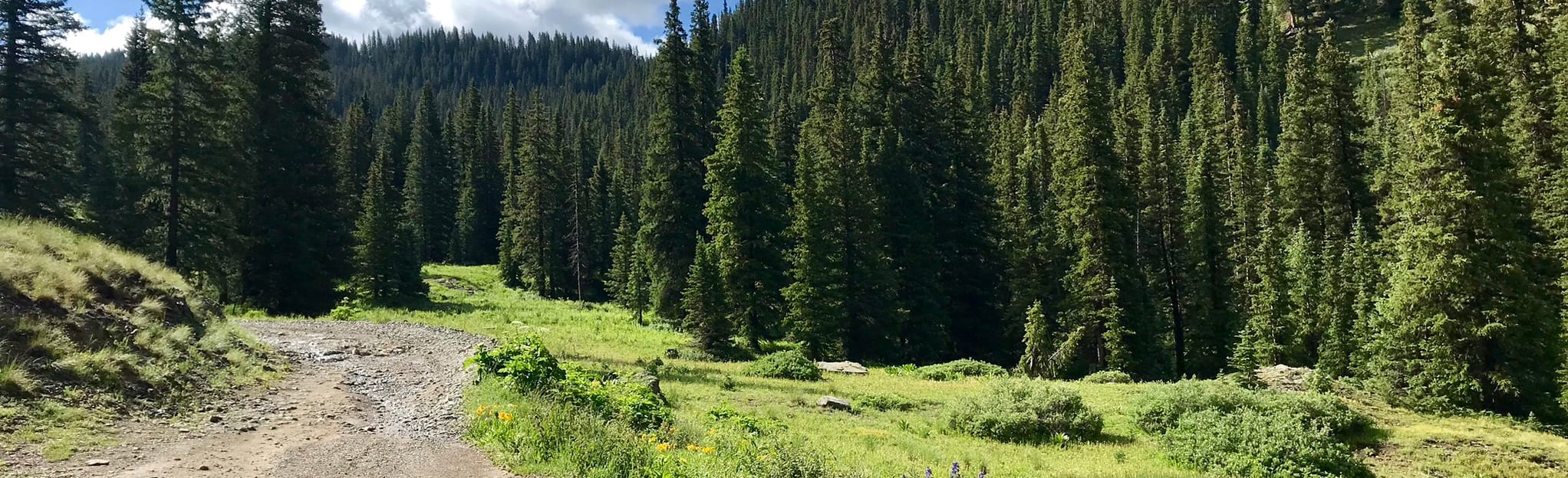 Engineer Pass OHV Trail via Lake City, Colorado - 89 Reviews, Map ...