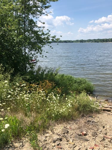 Best Hikes and Trails in Lake Milton | AllTrails