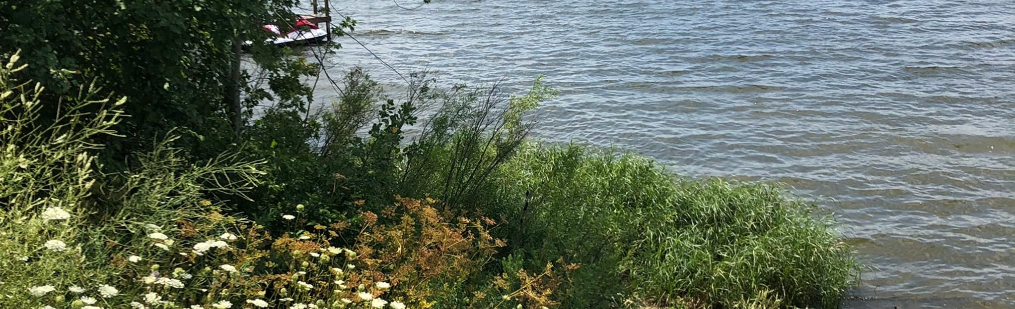 Lake Milton Loop, Ohio - 14 Reviews, Map | AllTrails