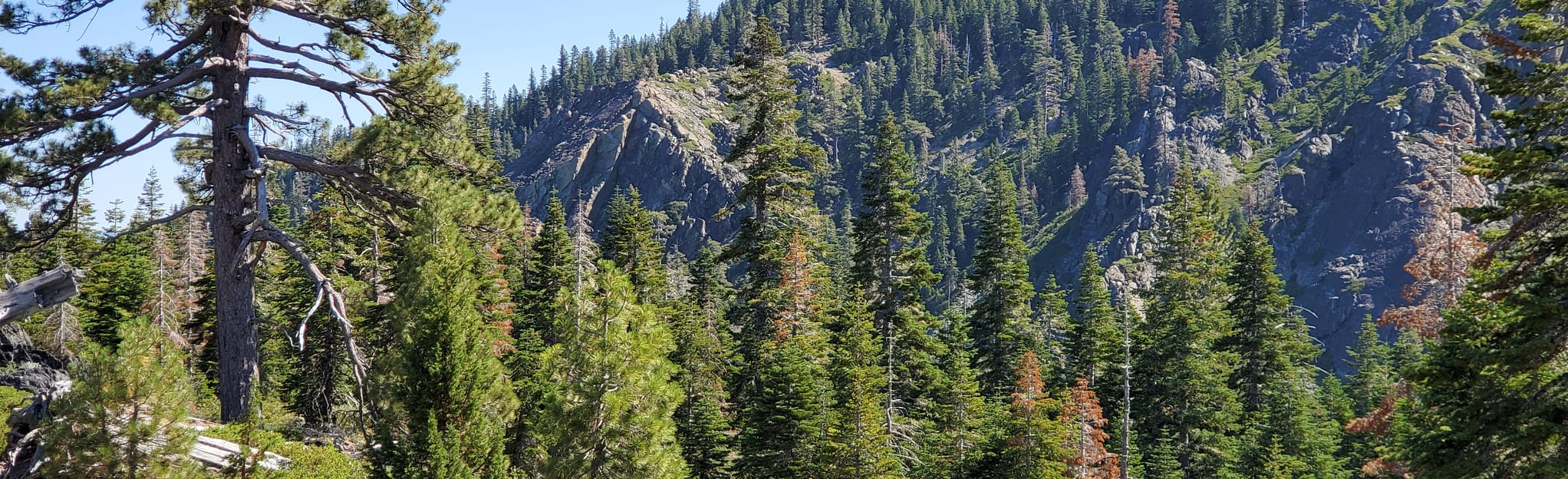 Frazier Falls Trail, California - 250 Reviews, Map | AllTrails
