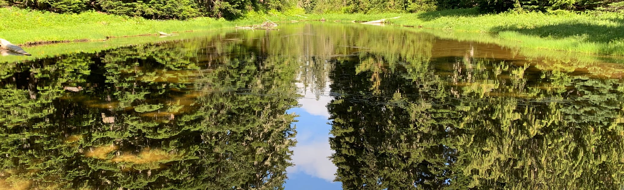 Goat Rocks Traverse, Washington - 6 Reviews, Map | AllTrails