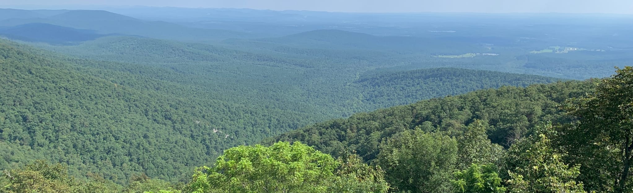 Lover's Leap Trail, Arkansas - 405 Reviews, Map | AllTrails