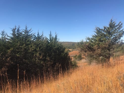 Best 10 Hikes and Trails in Loess Hills State Forest - Little Sioux ...