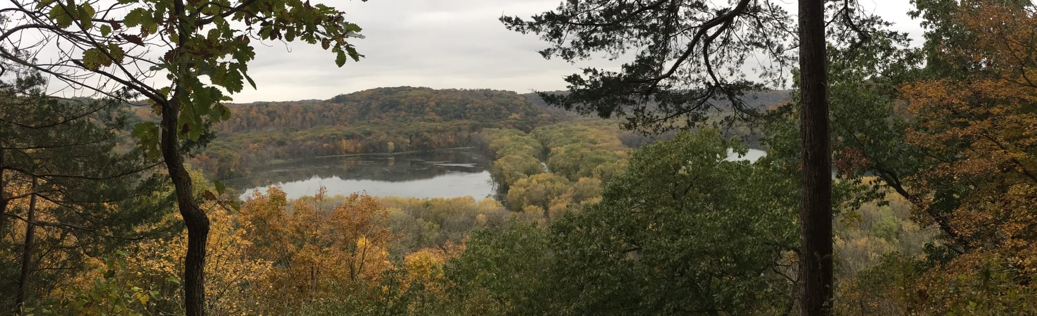 Marching Bear Group and Founder's Pond Overlook - Iowa | AllTrails