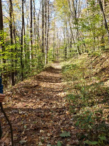 10 Best Hikes and Trails in State Game Lands Number 156 | AllTrails