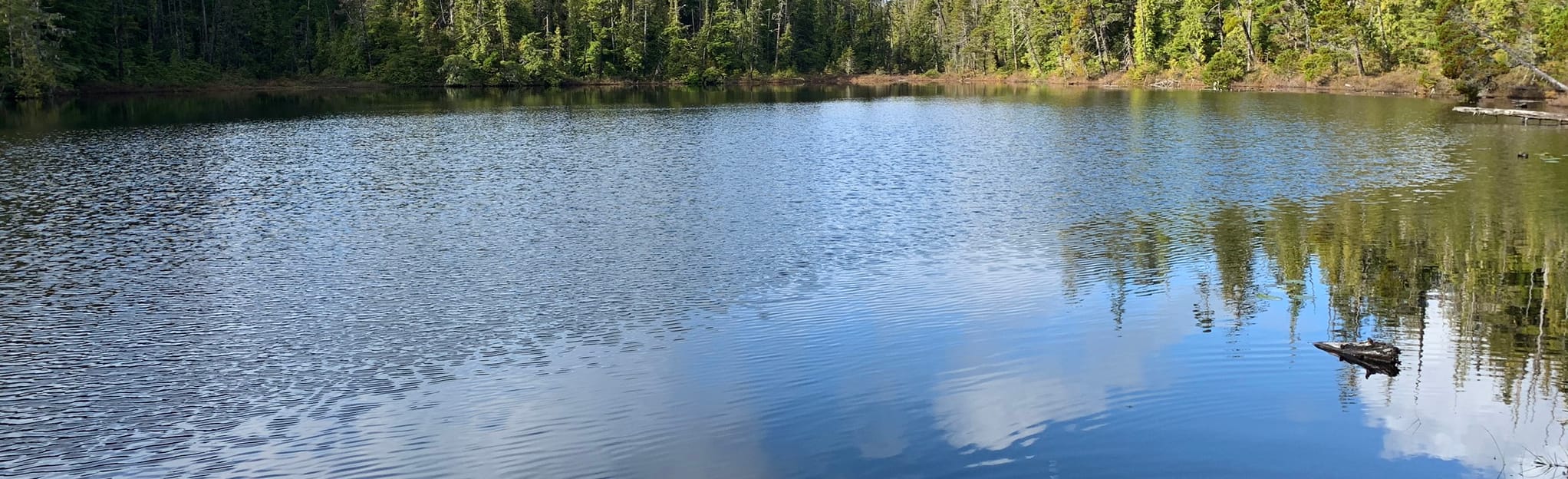 Fort Rupert Trail: 60 foto's - British Columbia, Canada | AllTrails