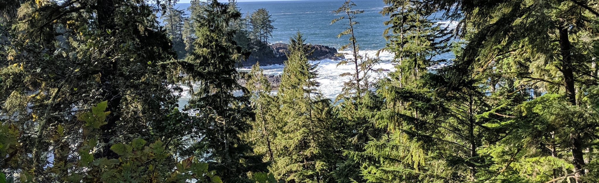 Willowbrae Trail to Florencia Beach and Half Moon Bay: 362 Reviews, Map ...