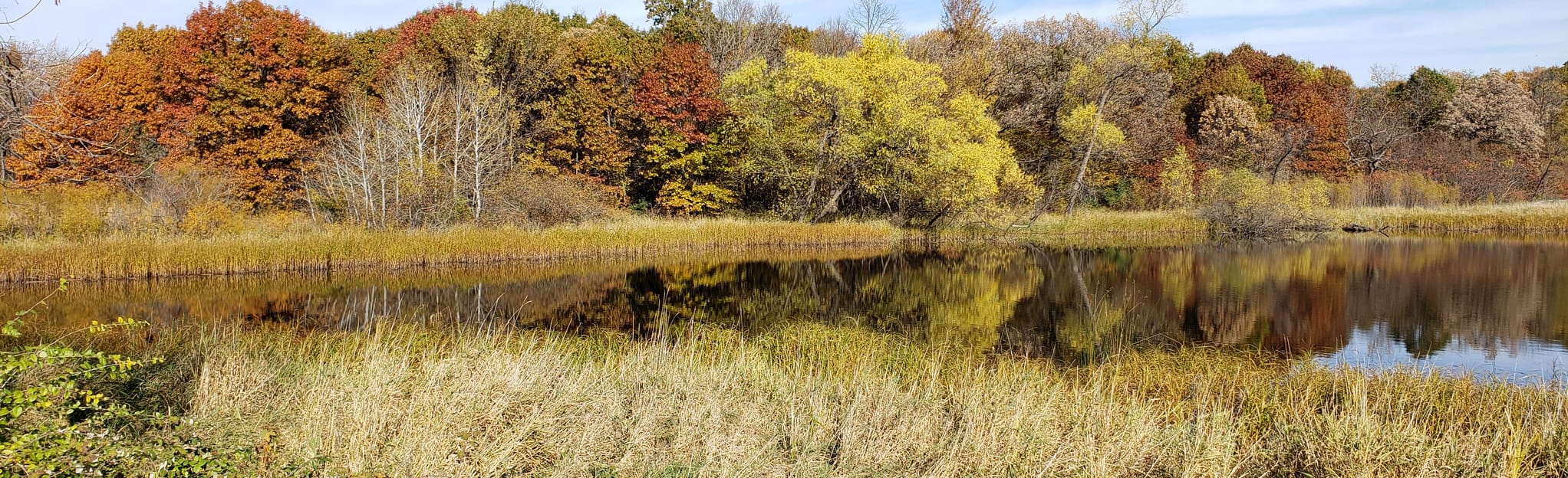 Crow Hassan Snowshoe Loop, Minnesota - 223 Reviews, Map | AllTrails