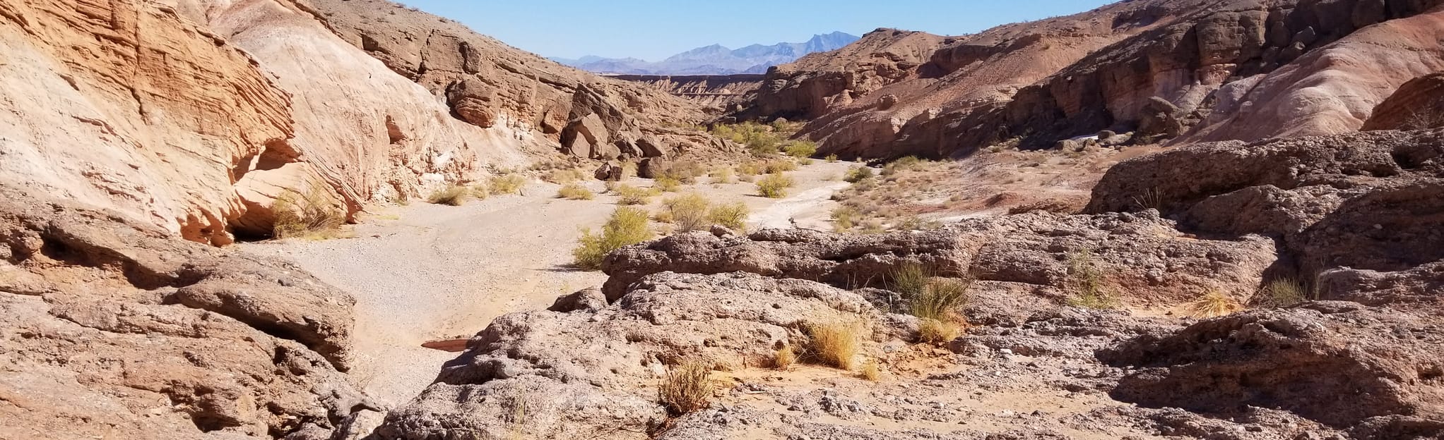Overton Mesa Trail, Nevada - 7 Reviews, Map | AllTrails