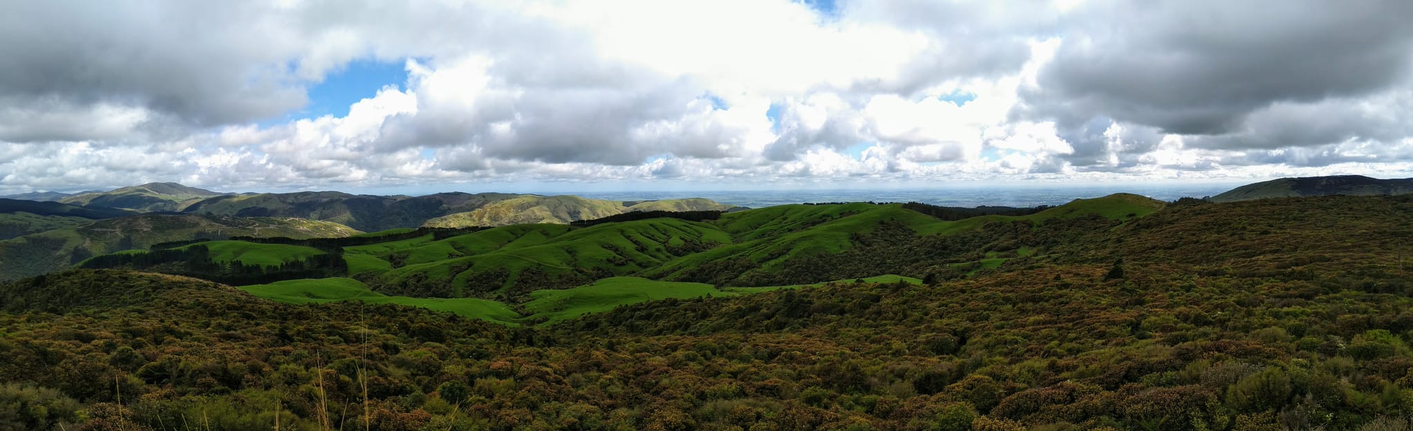 Sledge Track & Toetoe, Platinum Mines Loop, Manawatū-Whanganui, New ...