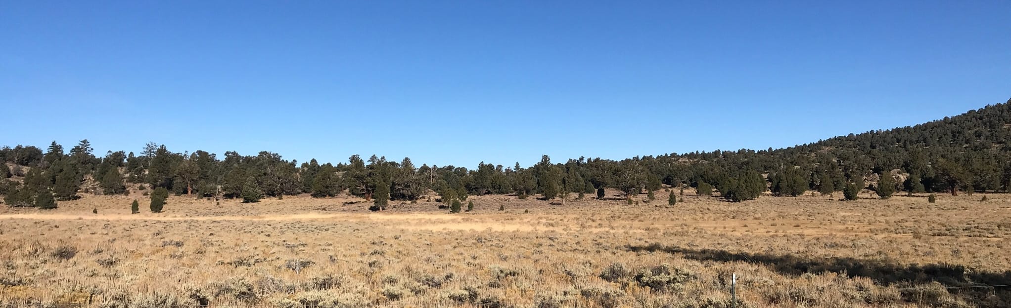 Balky Horse Canyon to Broom Flats Road, California - 11 Reviews, Map ...