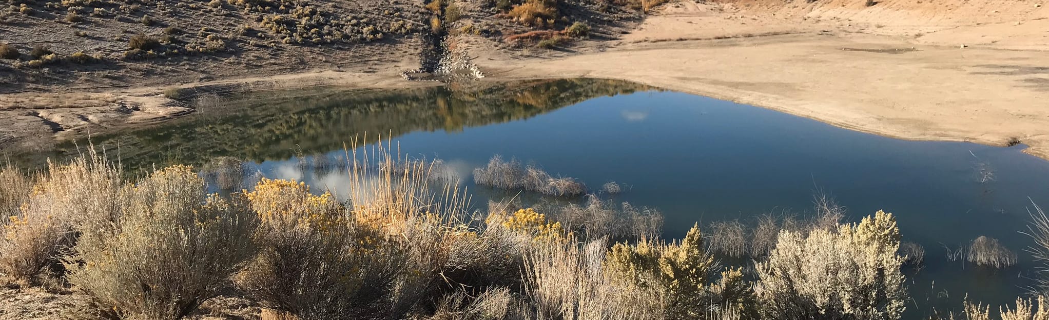 AllTrails | Jack Rabbit Trail: 123 Reviews, Map - Nevada