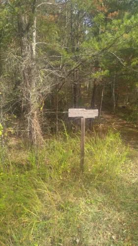 Best Hikes and Trails in Stampede Run Horse Camp | AllTrails