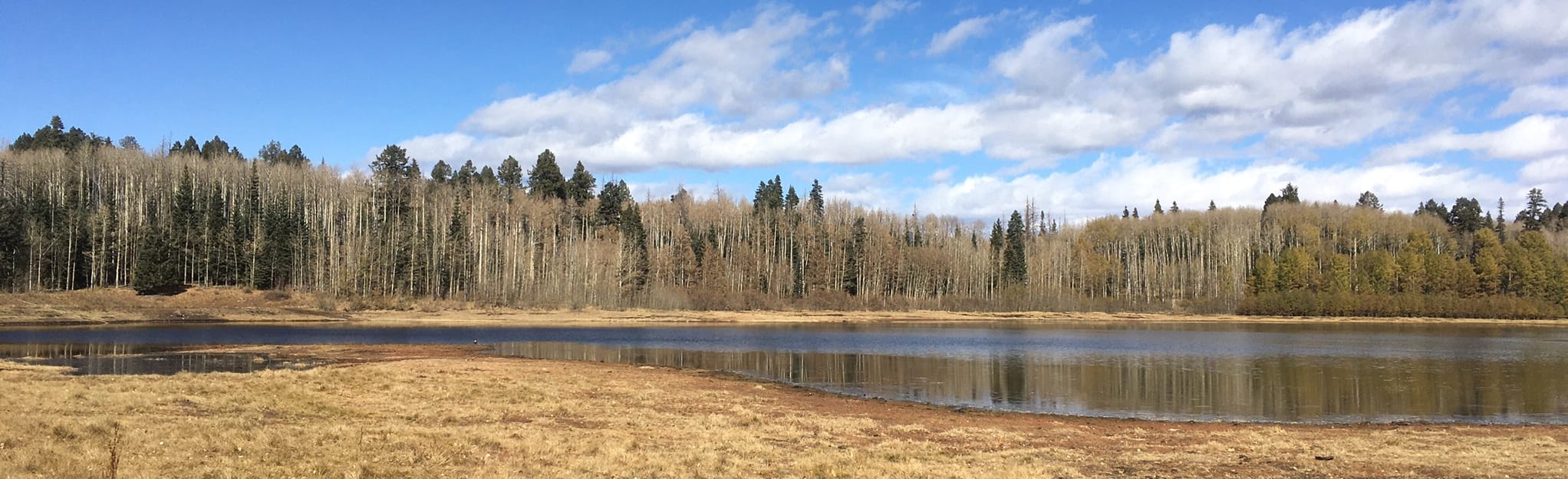 Buckles Lake Trail and Harris Lake Dam, Colorado - 84 Reviews, Map ...