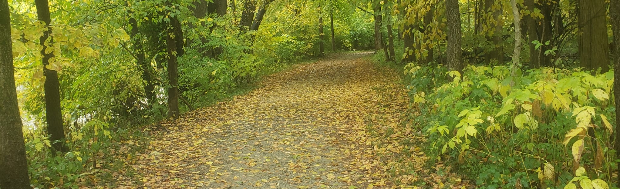 Mounds State Park, Indiana - 216 Reviews, Map | AllTrails