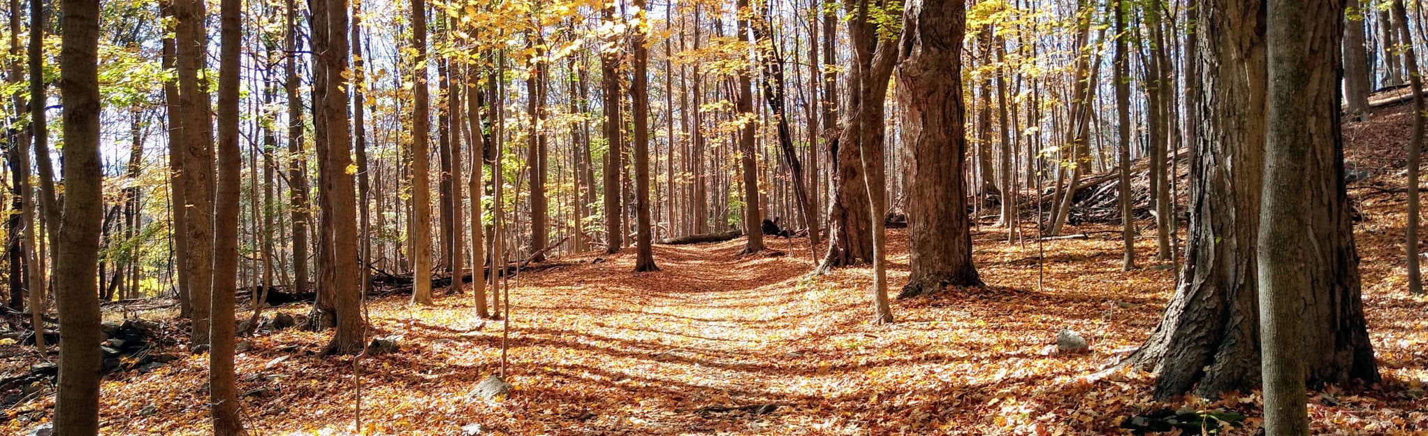 South Beacon Mountain via Notch, Wilkinson, and Breakneck Ridge Trail ...