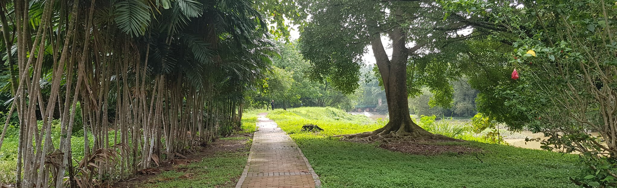 Puchong Puteri Town Park, Selangor, Malaysia - 4 Reviews, Map | AllTrails
