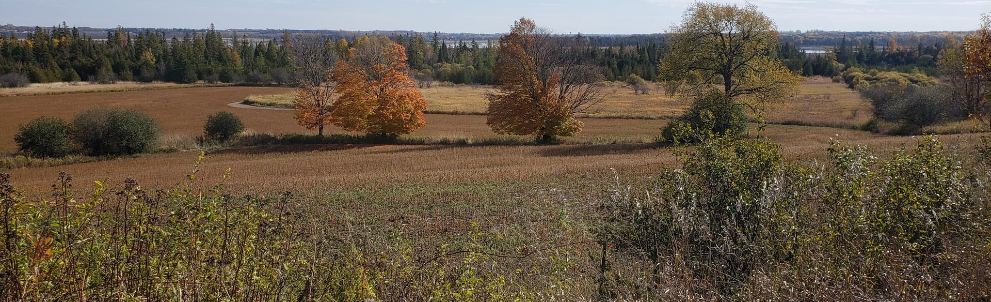 Victoria Rail Trail: Lindsay to Fenelon Falls - Ontario, Canada | AllTrails
