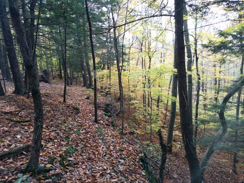 Best Hikes and Trails in Slate Valley Trails | AllTrails