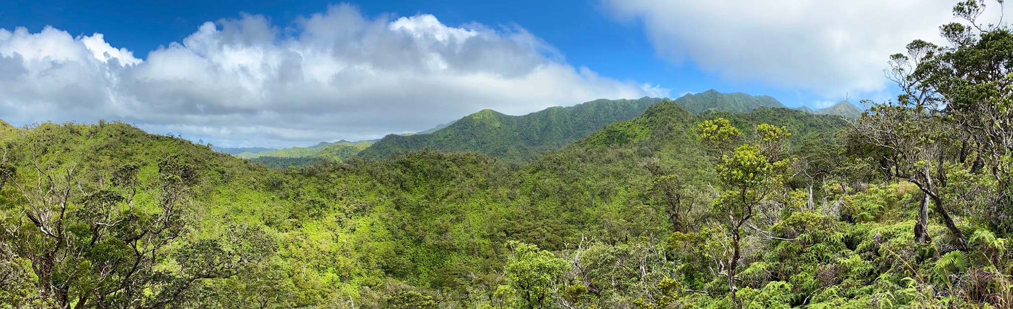 Manana Ridge Trail to Ko'olau Summit : 2 065 Photos - Oahu, Hawaii ...