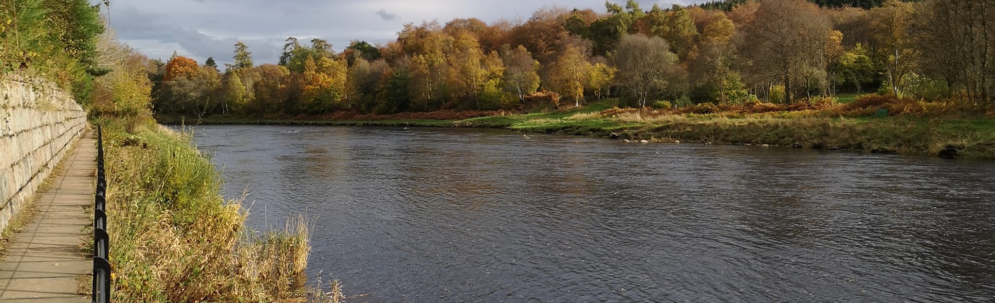 River Dee Walk: Banchory to Milton of Crathes: 51 Reviews, Map ...