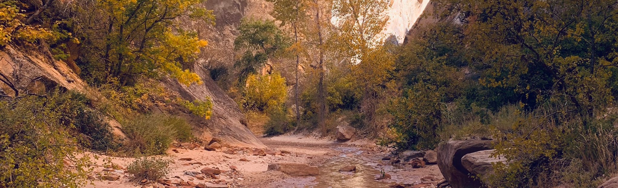 Lower Hackberry Canyon Trail, Utah - 179 Reviews, Map | AllTrails