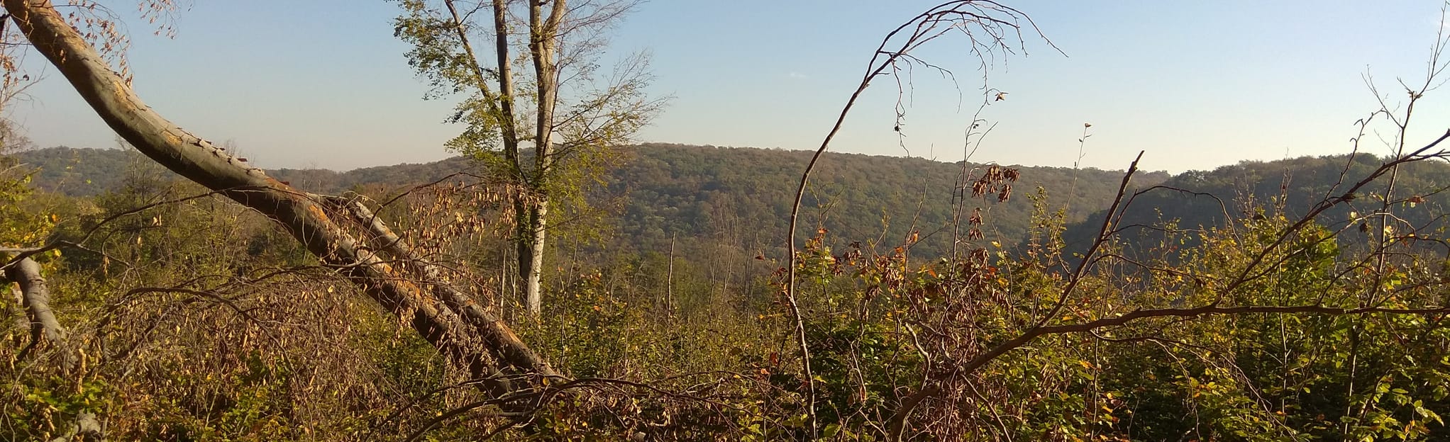Bonyhád - Mount Cigány Loop: 3 Reviews, Map - Tolna, Hungary | AllTrails