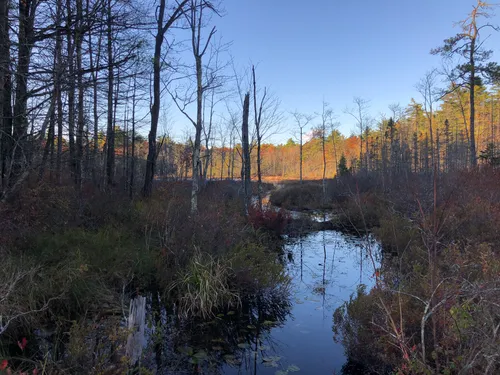 10 Best Trails and Hikes in Raymond | AllTrails