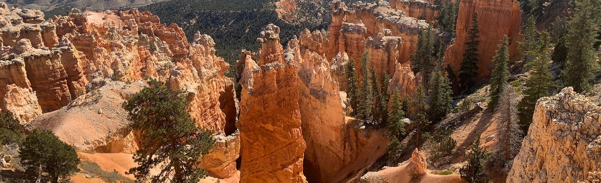 Hat Shop via Under the Rim Trail: 411 Reviews, Map - Utah | AllTrails