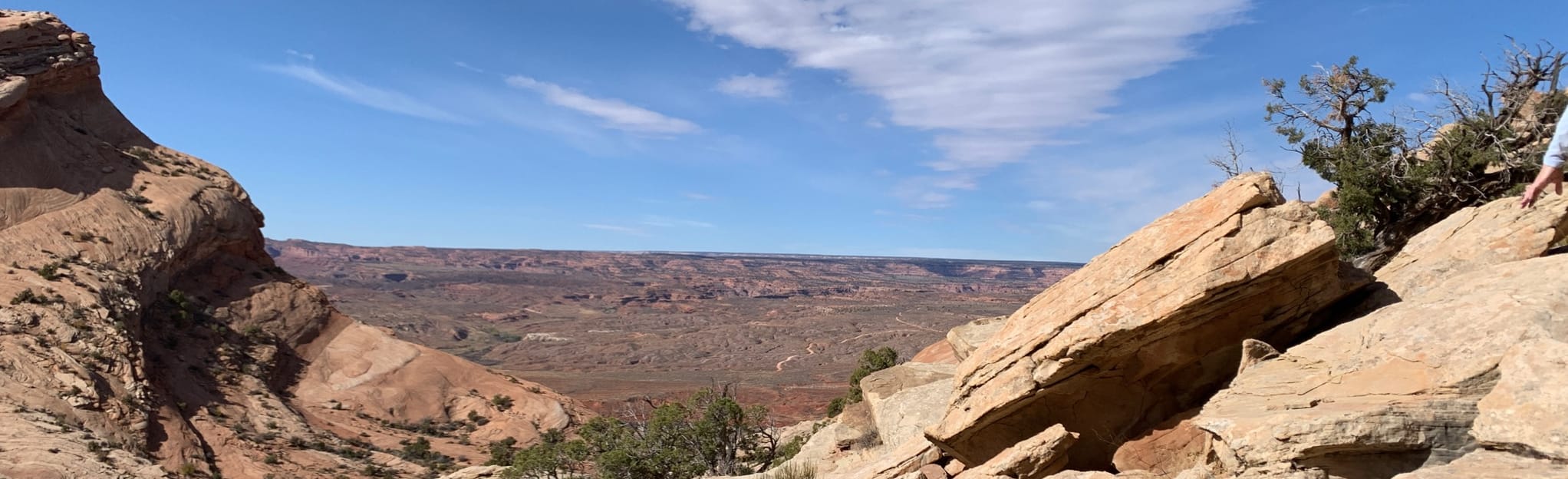 Procession Panel Trail, Utah - 192 Reviews, Map | AllTrails