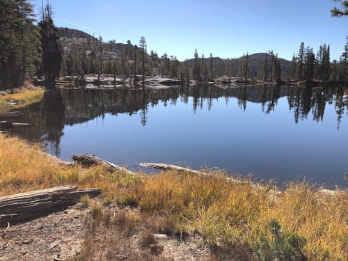 2023 Best Wild Flowers Trails in Mi Wuk Village | AllTrails