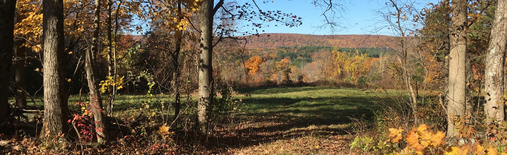 Seth and Lucy Holcombe Preserve, Connecticut - 273 Reviews, Map | AllTrails