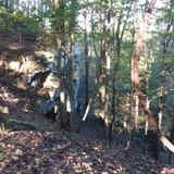 Beckwith Point Trail, Tennessee - 156 Reviews, Map | AllTrails