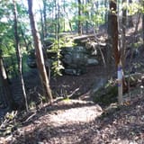 Beckwith Point Trail, Tennessee - 156 Reviews, Map | AllTrails