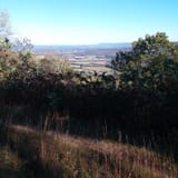 Beckwith Point Trail, Tennessee - 156 Reviews, Map | AllTrails