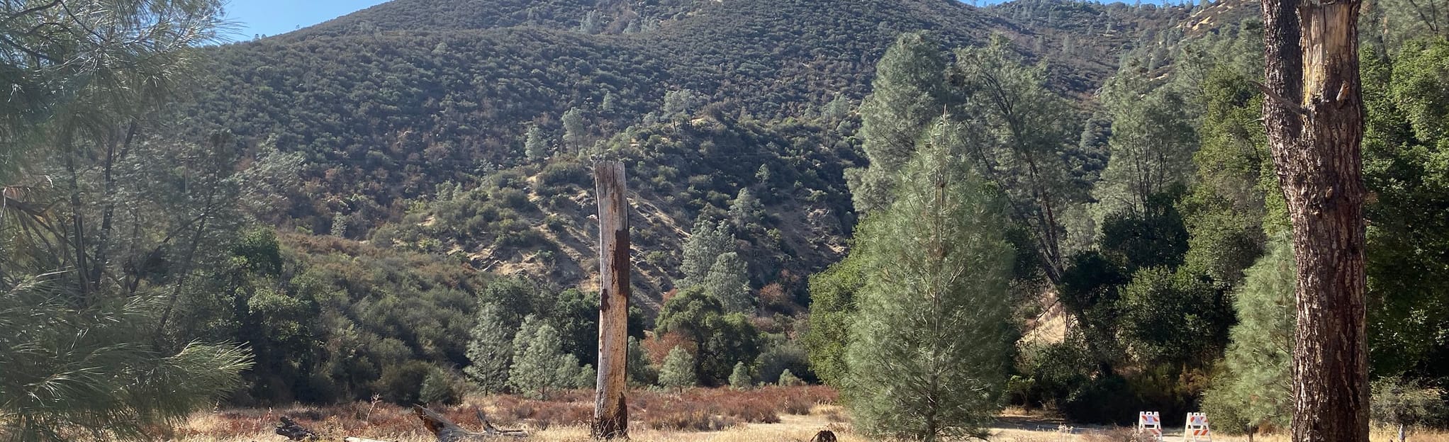 Bench Trail, California - 143 Reviews, Map | AllTrails