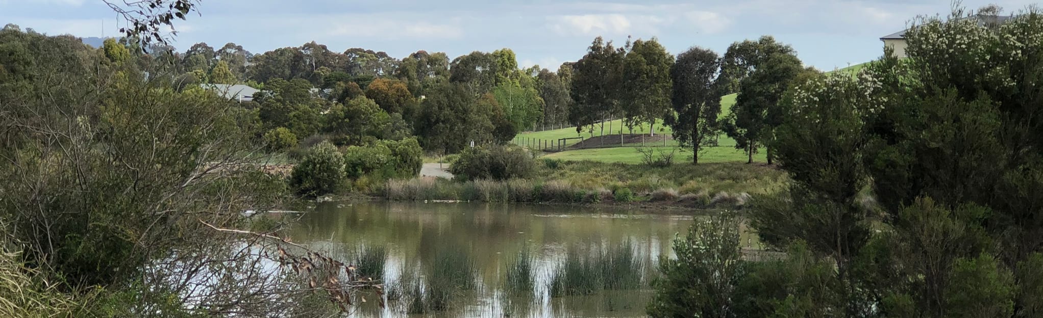 Kimberley Drive Reserve Loop: 94 Reviews, Map - Victoria, Australia ...